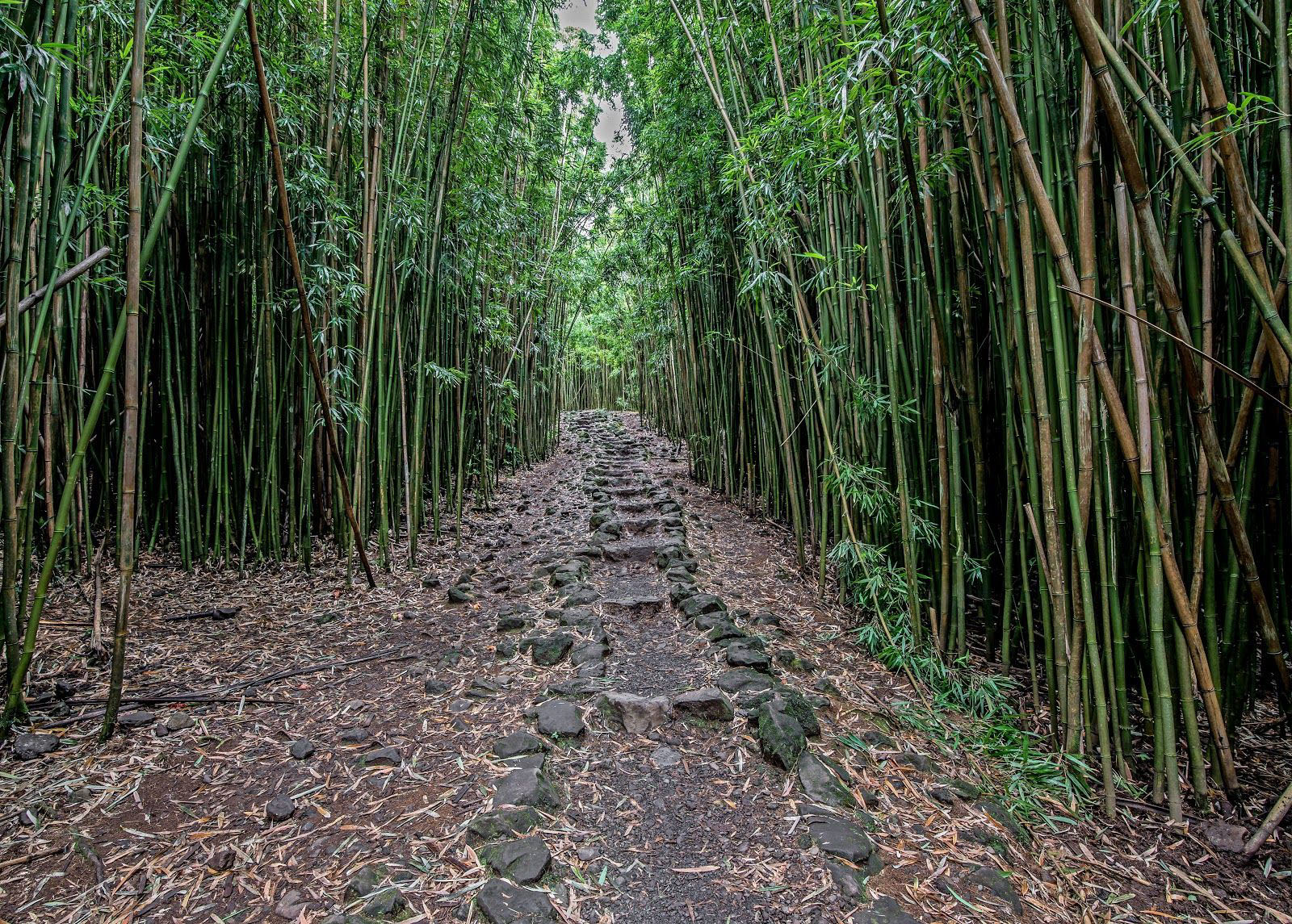 5 Breathtaking Maui Hikes : Aloha Stoked : Maui's Ultimate Visitor Guide